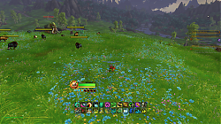 HideUI: Hide Any Frame : Graphic UI Mods : World of Warcraft AddOns