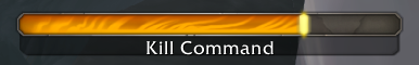 Casting Bars, Cooldowns : World of Warcraft AddOns